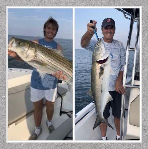 northern puffer range