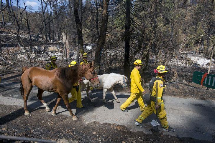 California fire official: 250 additional homes burned in Sierra Nevada ...