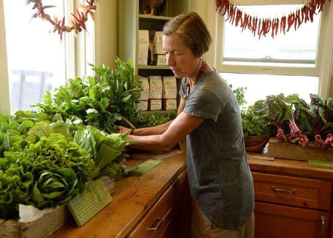 White Gate Farm welcomes new visitors with expanded farm stand | The Day
