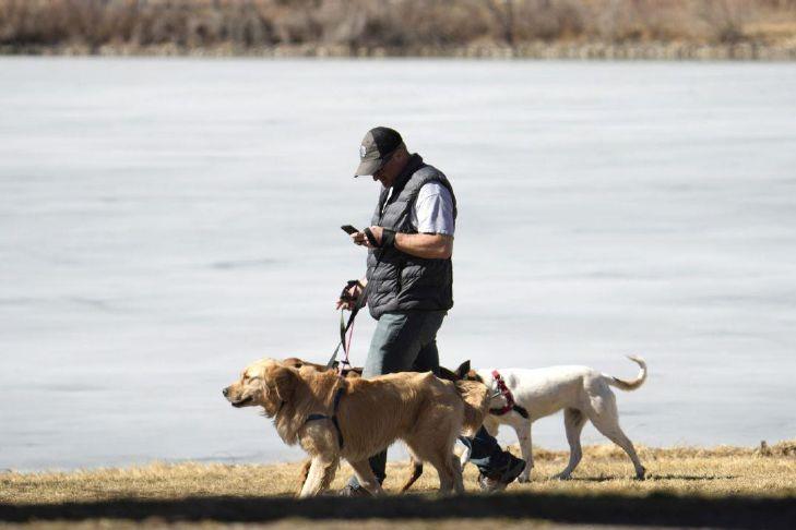 Dogs bring loads of joy but also perils on a leash | The Day
