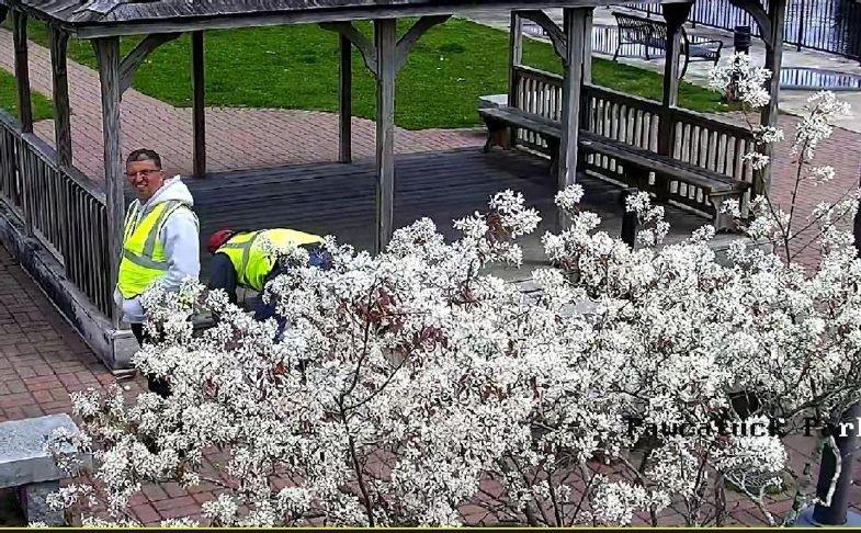 First Selectwoman Chesebrough now owns Stonington's fake needle park ...