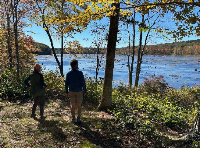 Goodwin Forest: A woodsman's enduring legacy | The Day