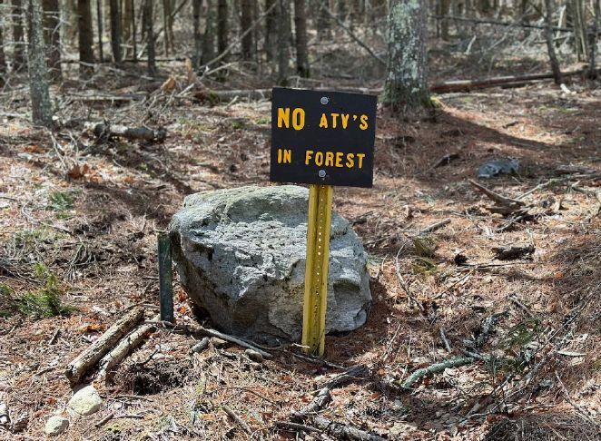 Enduring Pachaug's Enduro Trail – on foot | The Day