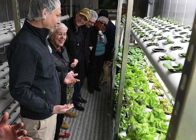 Groton schools now growing lettuce in a shipping container 'farm' | The Day