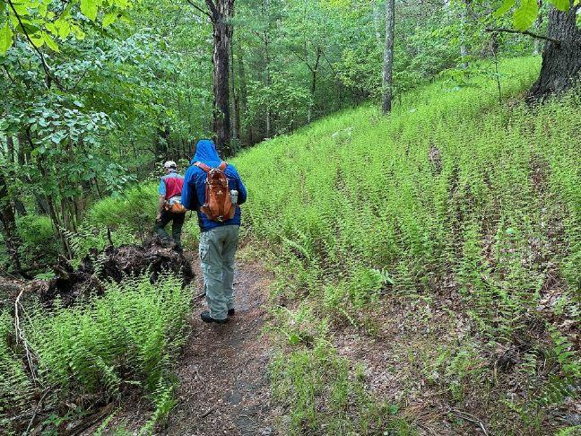 Sacred ground at a Rhode Island nature preserve | The Day