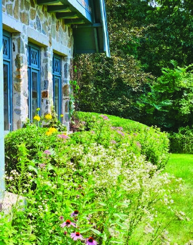 From Bare Earth Springs Forth The Native-Plant Garden | The Day