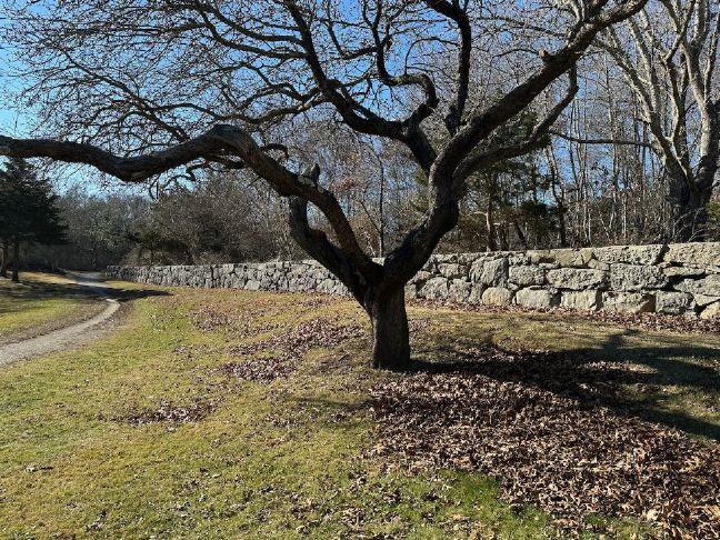 A classic hike: Haley Farm and Bluff Point | The Day